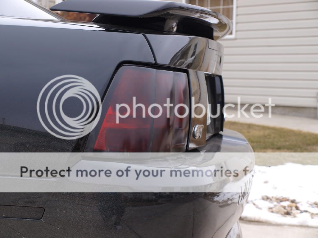 VHT Nightshade Redone | Modded Mustang Forums